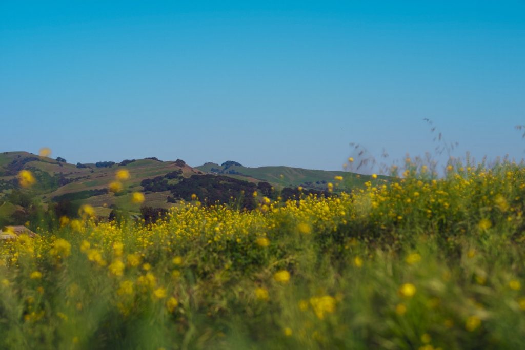 Stanly Ranch, Auberge Resorts Collection: A New Generation Napa Resort ...