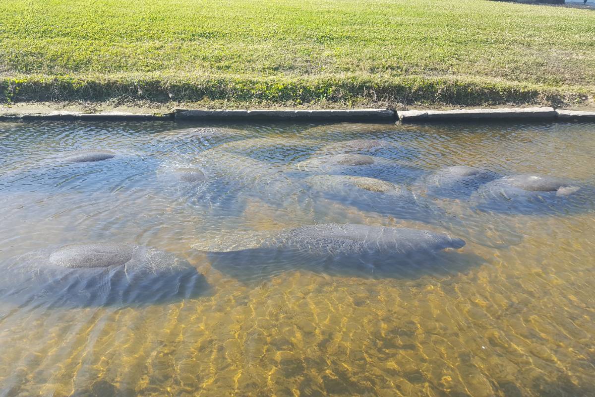 Oceanfront mansions and SpaceX launches: 4 Reasons to buy into Florida ...