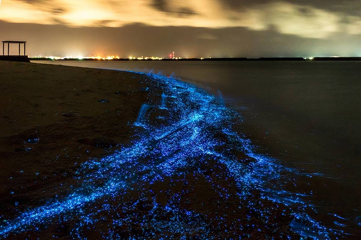 Oceanfront mansions and SpaceX launches: 4 Reasons to buy into Florida ...