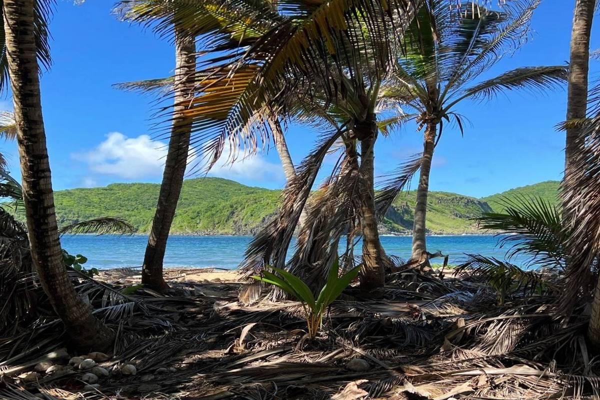 Private island is up for sale in an ultra-luxurious spot of the ...