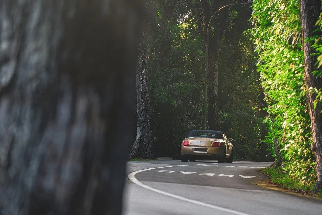 Nassim Park Residences: Luxurious Project in Singapore Crafted by Three ...