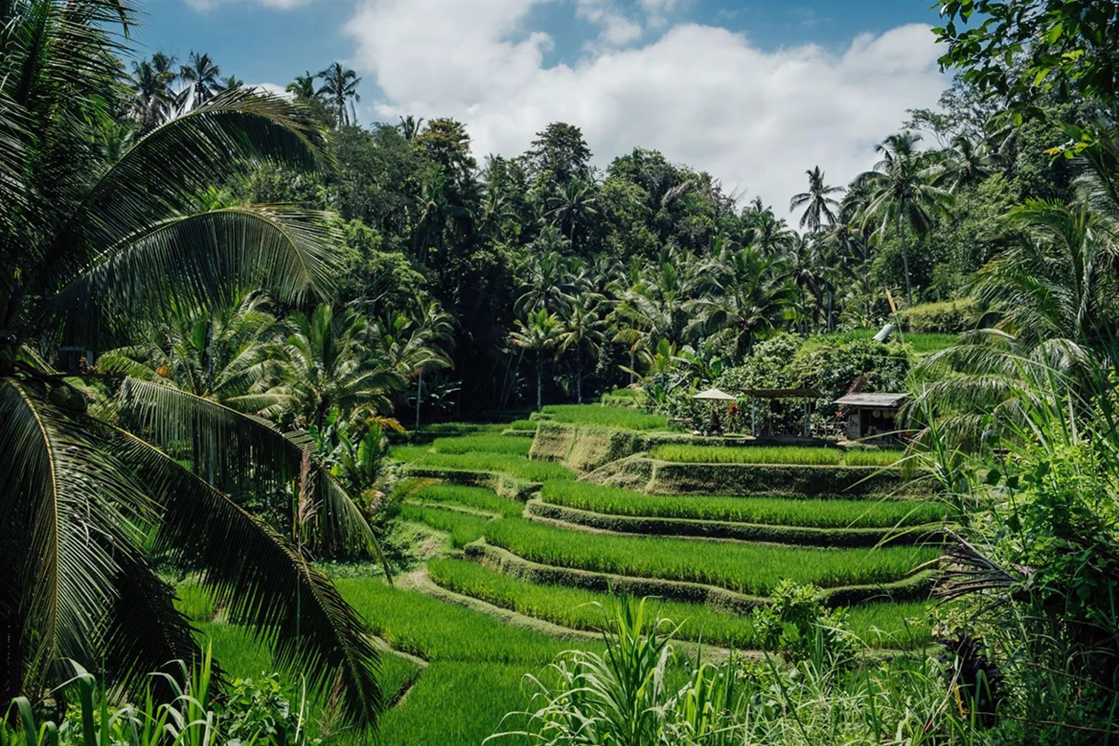 The Royal Ubud: An Exceptional Collection of Private Estates in Bali ...