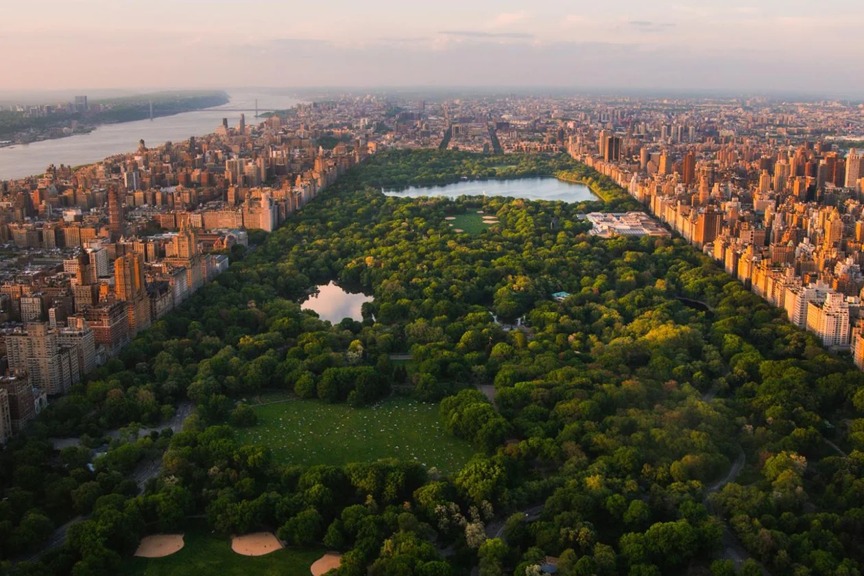 A Market Perspective by Sylvia Edwards: How American Buyers Are ...